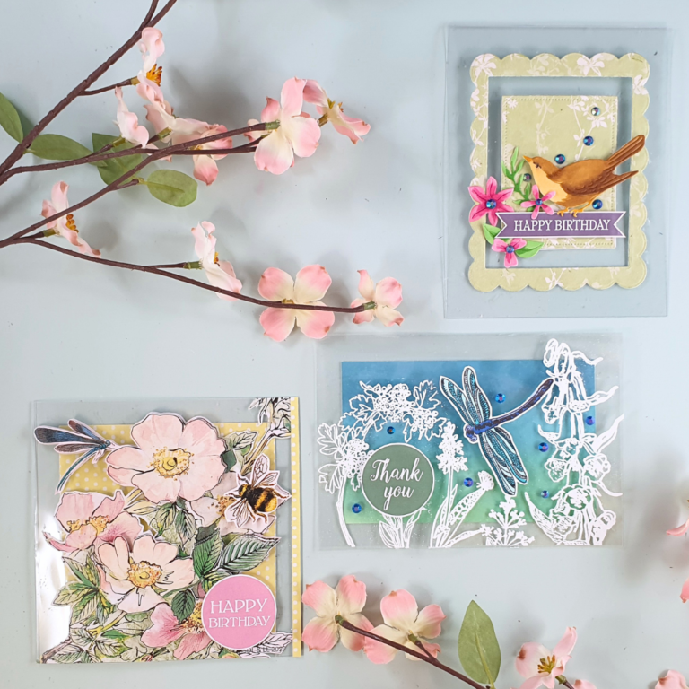 3 Beautiful Ways to Create Acetate Cards with Crafting Essentials